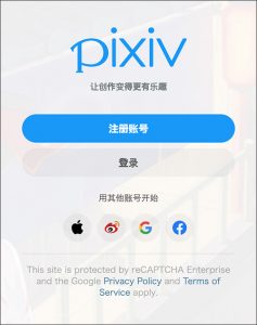 P站官网网址是什么？ - IPet博客
